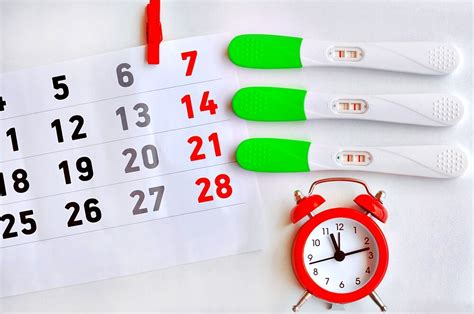 Ovulation Test How To Use It Correctly