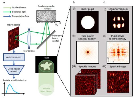Laser Speckle Apparatus With The Pupil Engineering A Schematic