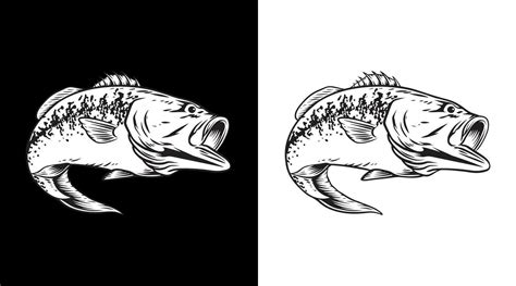 Bass Fish Vector Art 26759392 Vector Art At Vecteezy