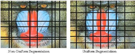 adaptive segmentation on a cover image using uniform or non uniform