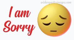 Im Sorry Emoji 