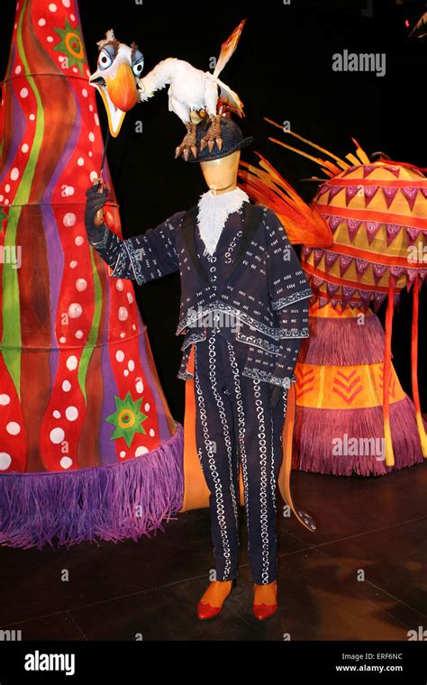 Zazu Lion King Costume