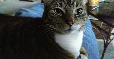 Ruby Roo Album On Imgur