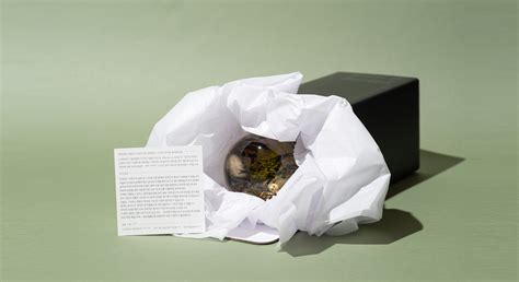 워터플랜트 Water Plant Stylejieum