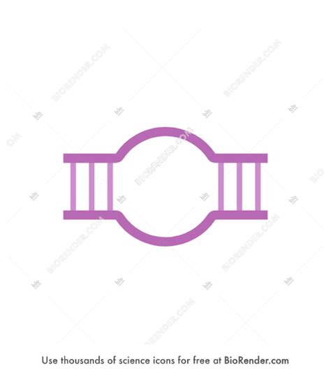 Free Rna Interior Loop Small Icons Symbols And Images Biorender