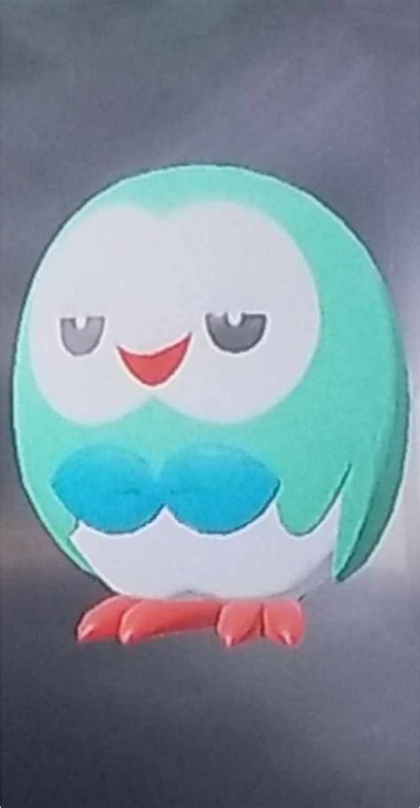 [8] Finally Got A Shiny Rowlet After Countless Hours Of Searching R Shinypokemon