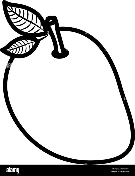 Mango Fruit Clip Art Black And White