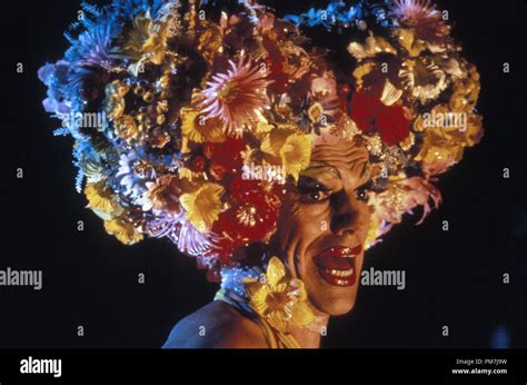 Film Still From The Adventures Of Priscilla Queen Of The Desert Hugo