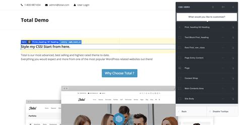 customize your wordpress site today with css hero