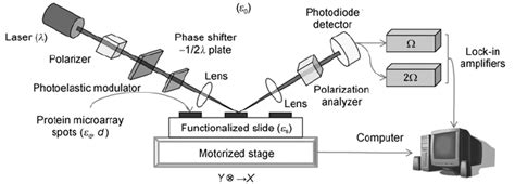 The Layout Of The Oi Rd System For The Detection Of Protein Download Scientific Diagram