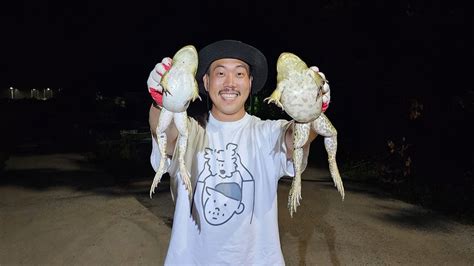 이렇게 큰 녀석은 처음 잡아봅니다 엄청 큰 황소개구리를 잡아서 먹어보겠습니다 Youtube