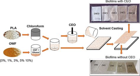 Solvent Casting Method For The Formulation Of The Biofilms Download Scientific Diagram