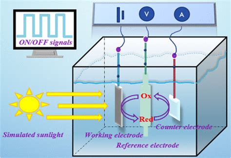 Feps3 Nanosheet Based Photoelectrochemical Type Photodetector With Superior Flexibility The
