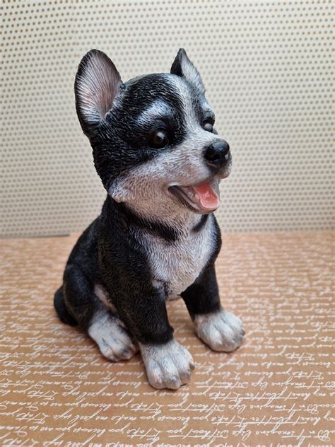 Cockapoo Nero E Marrone Solid Black Cockapoo Black Labradoodle Black