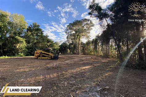 Contact Us Tree Brush Tx