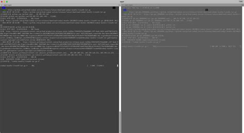 10分钟实现codeql自动化扫描 墨天轮