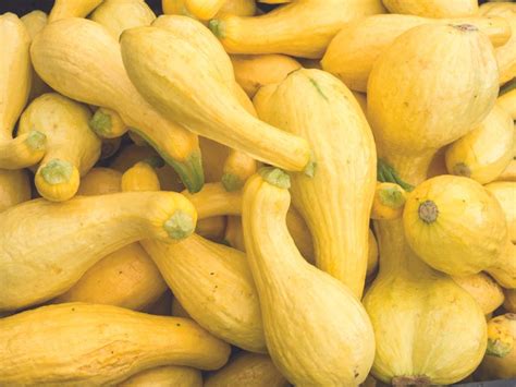 Types Of Squash Yellow