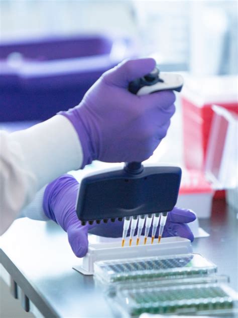 Analytical Research And Development Arandd