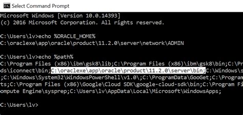 Db Installation 11g Express Edition Listener Not Starting Oracle