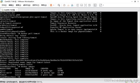 docker镜像，什么是docker镜像，docker基本常用命令【搜索，镜像下载，镜像删除，创建容器，导入到处镜像】及其镜像的分层 csdn博客