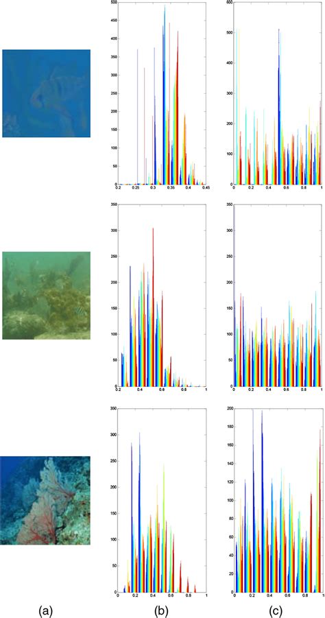 Comparisons Of Histograms Before And After Utilizing The Dehazing And Download Scientific
