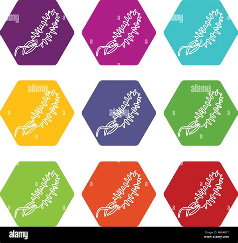 Bacteria e coli Imágenes vectoriales de stock Alamy