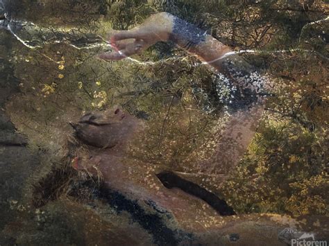 Tianya By David Neufeld Wall Art