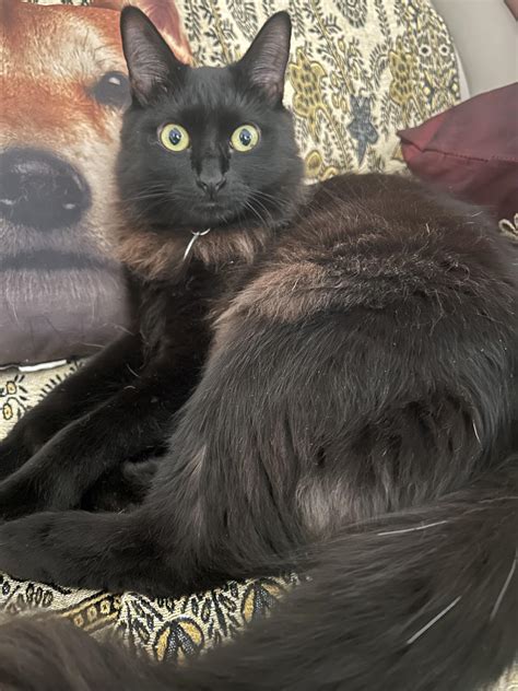 Meet Nadia Scrolller