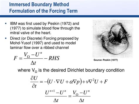 Ppt An Immersed Boundary Method Enabling Large Eddy Simulations Of Complex Terrain In The Wrf