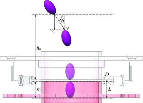 Schematic Diagram Of Seeds Passing Through The Detection Area Download Scientific Diagram