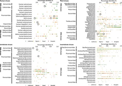 Sequence Identity Distribution Analysis Of Eukaryotic Viral Sequences Download Scientific