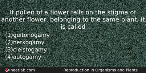 If Pollen Of A Flower Falls On The Stigma Of Another Flower Belonging