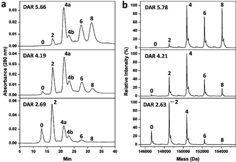 Comparison Of Hic Panel A And Nsec Ms Panel B Profiles Of Adc B Download Scientific Diagram