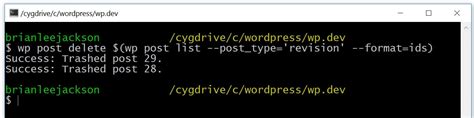 WP CLI V Managing WordPress From The Terminal