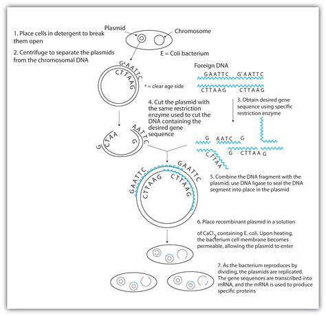 mutations and genetic diseases