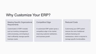 ERP Configuration And Customization PDF