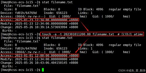 linux基本命令篇 —— touch命令 linux touch csdn博客