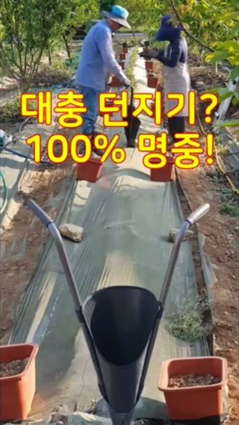 양손파종기 모종이식기 감자 고추 들깨 서리태 등 다양한 모종 이식 씨앗 파종 텃밭장비 양손파종기 파종기
