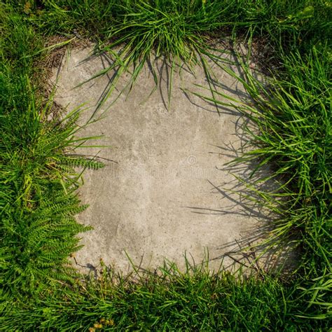 Slab Framed With Green Grass Stock Image Image Of Pattern Meadow