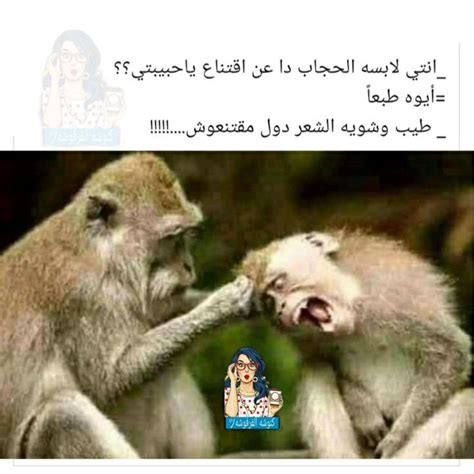 Amina Eldine Adlı Kullanıcının Funny Arabic Memes Panosundaki Pin
