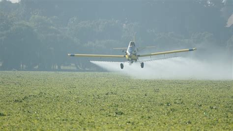 Herrie Oor Omstrede Onkruiddoder Vir Vaalrivier Se Waterslaai Ofm