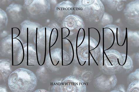Blueberry Font By Salma Studio · Creative Fabrica