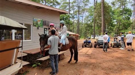 ជិះសេះ គីរីរម្យ Youtube