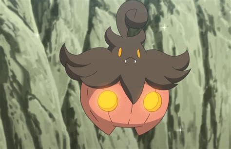 19 Facts About Pumpkaboo