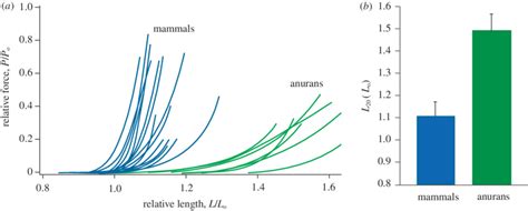 Meta Analysis Of Passive Muscle Properties A Passive Force Length Download Scientific