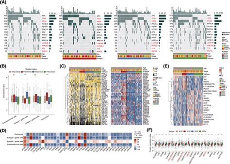 Expression Pattern Of Secretory‐cell‐related Transcriptional Signatures