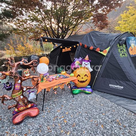 스노우라인새턴2룸 텐트 텐트침낭 중고나라