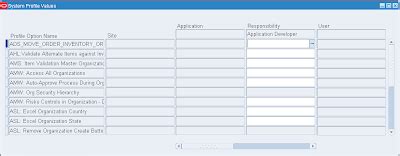 Sujeet APPS DBA Profile Options In Oracle Apps R
