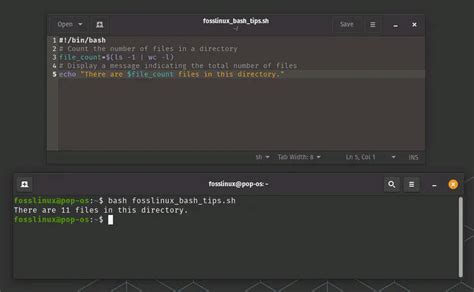 bash shell scripting 10 must know tips for beginners