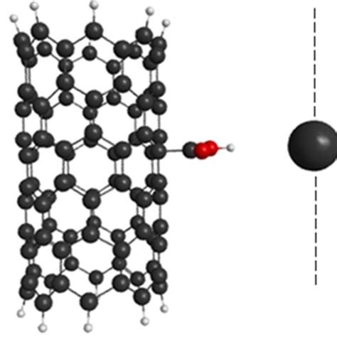 Model Of Carbon Nanotube With Surface Modified By Carboxyl Group
